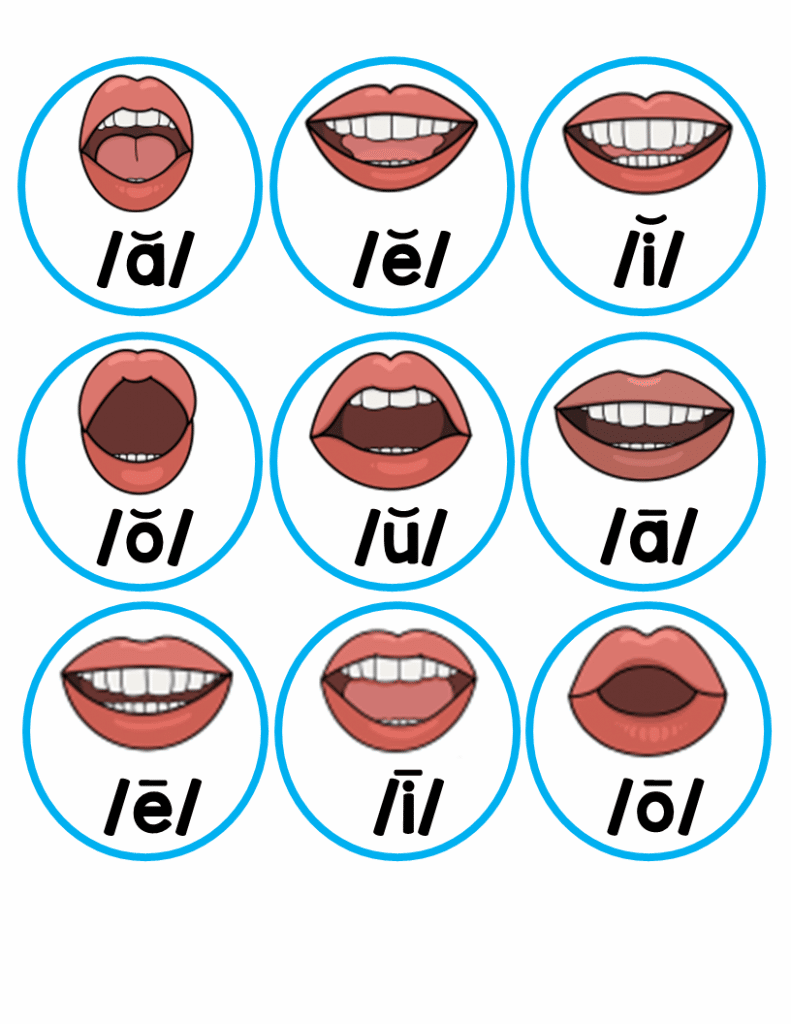 Sound Wall Sound Spelling Cards and Pictures - Naomi O'Brien - Read ...