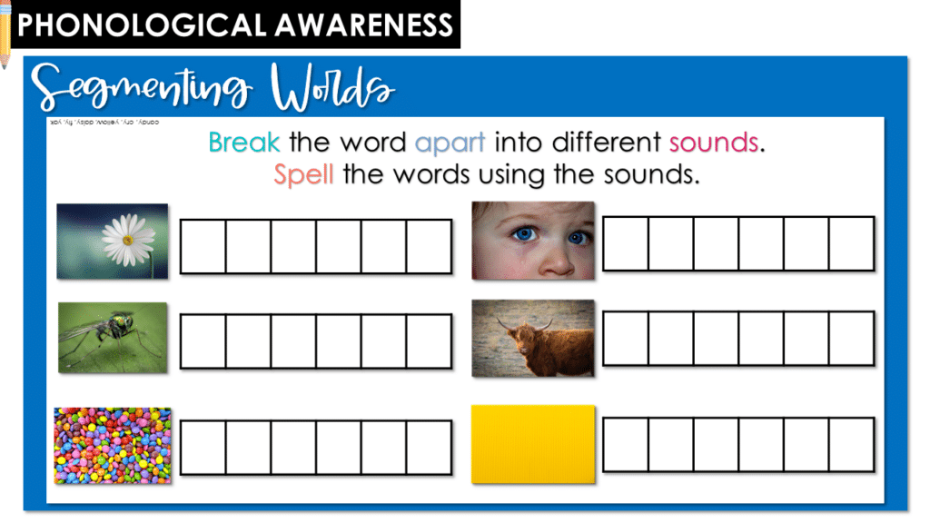 Week 10: The Jobs of Y (SOR UPPER ELEMENTARY) - Naomi O'Brien - Read ...