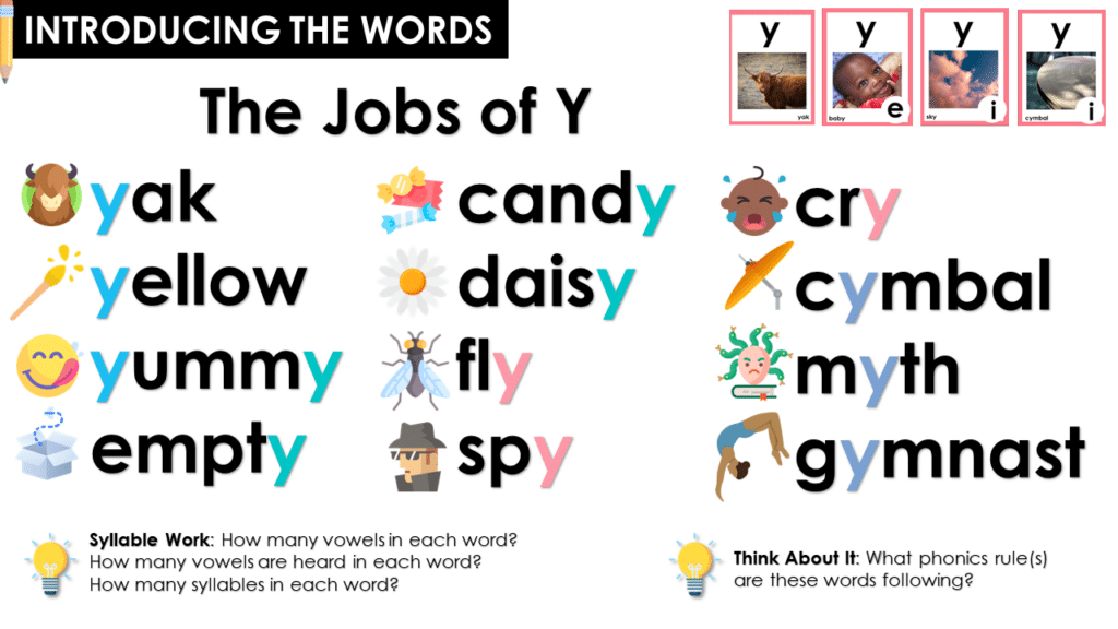 Week 10: The Jobs of Y (SOR UPPER ELEMENTARY) - Naomi O'Brien - Read ...